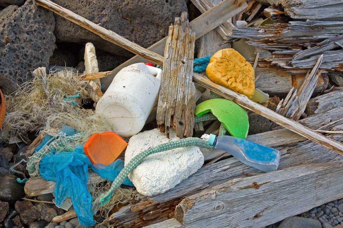 Debris Month of Action