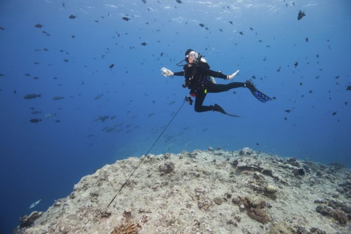 How to Deal With Strong Currents • Scuba Diver Life