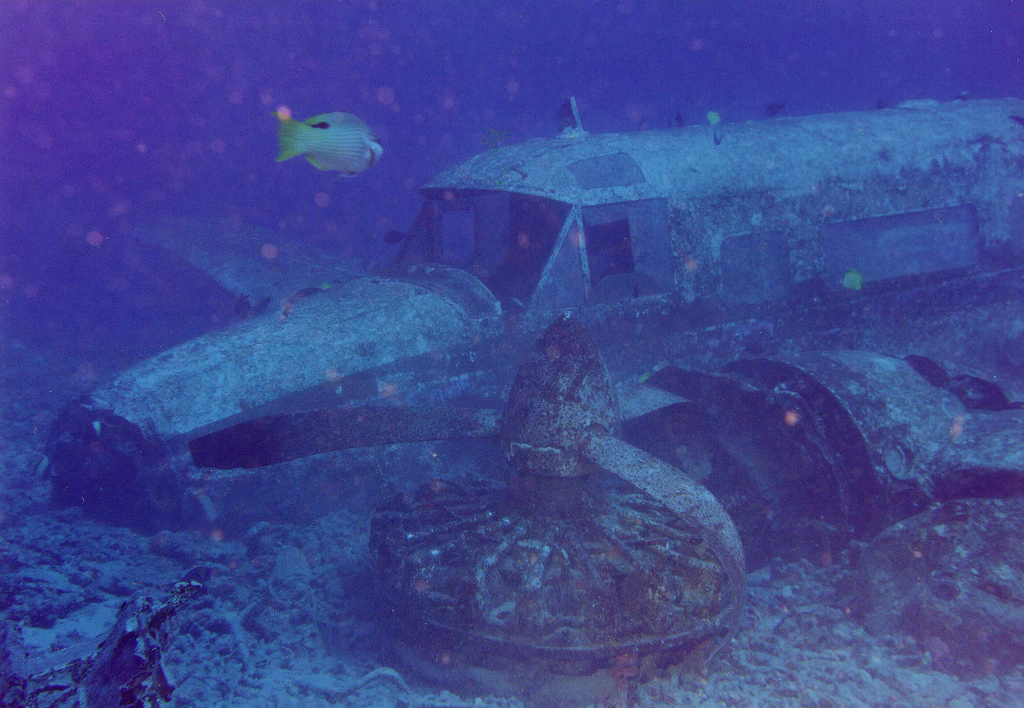 9 Amazing Airplane Wrecks to Dive • Scuba Diver Life