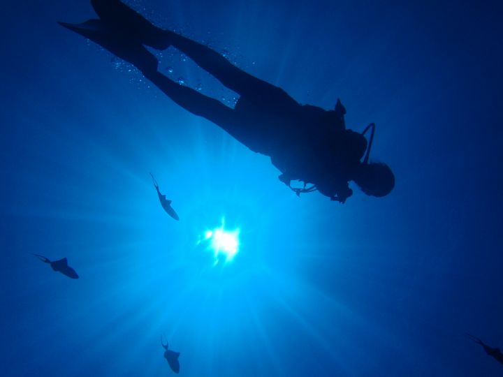 Must-Watch Dive Documentaries • Scuba Diver Life