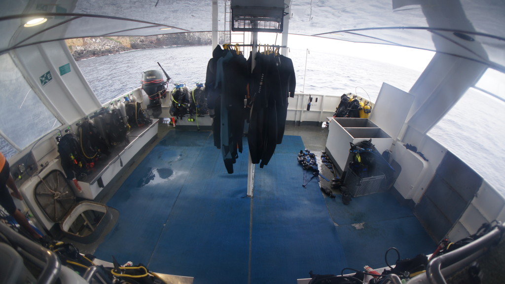 All You Need To Know About Liveaboard Diving • Scuba Diver Life