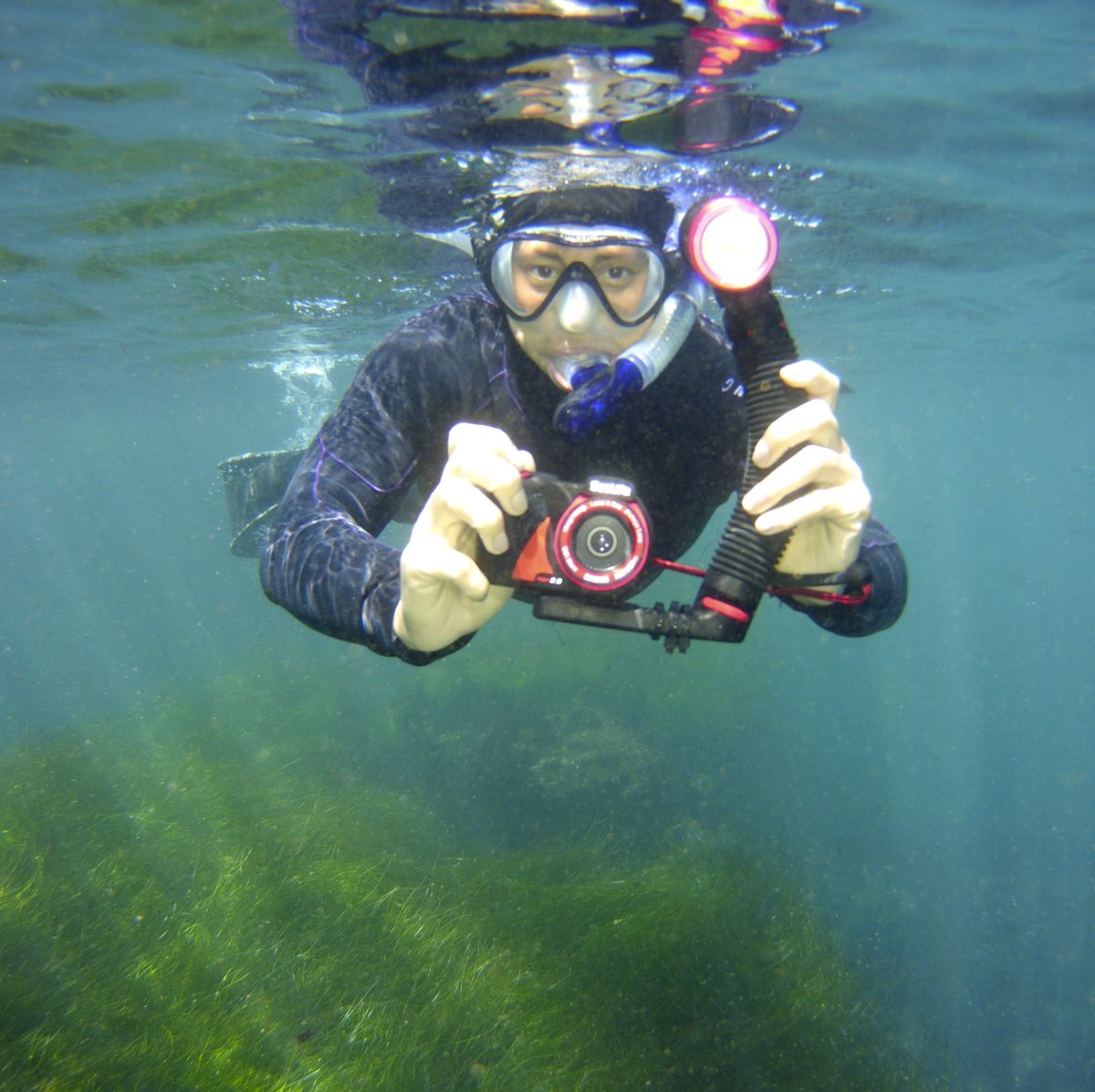 SeaLife Unveils New Micro 2.0 Underwater Camera • Scuba Diver Life