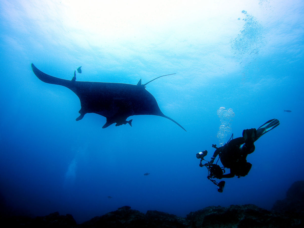 Sealife Micro 2.0 Showcase • Scuba Diver Life