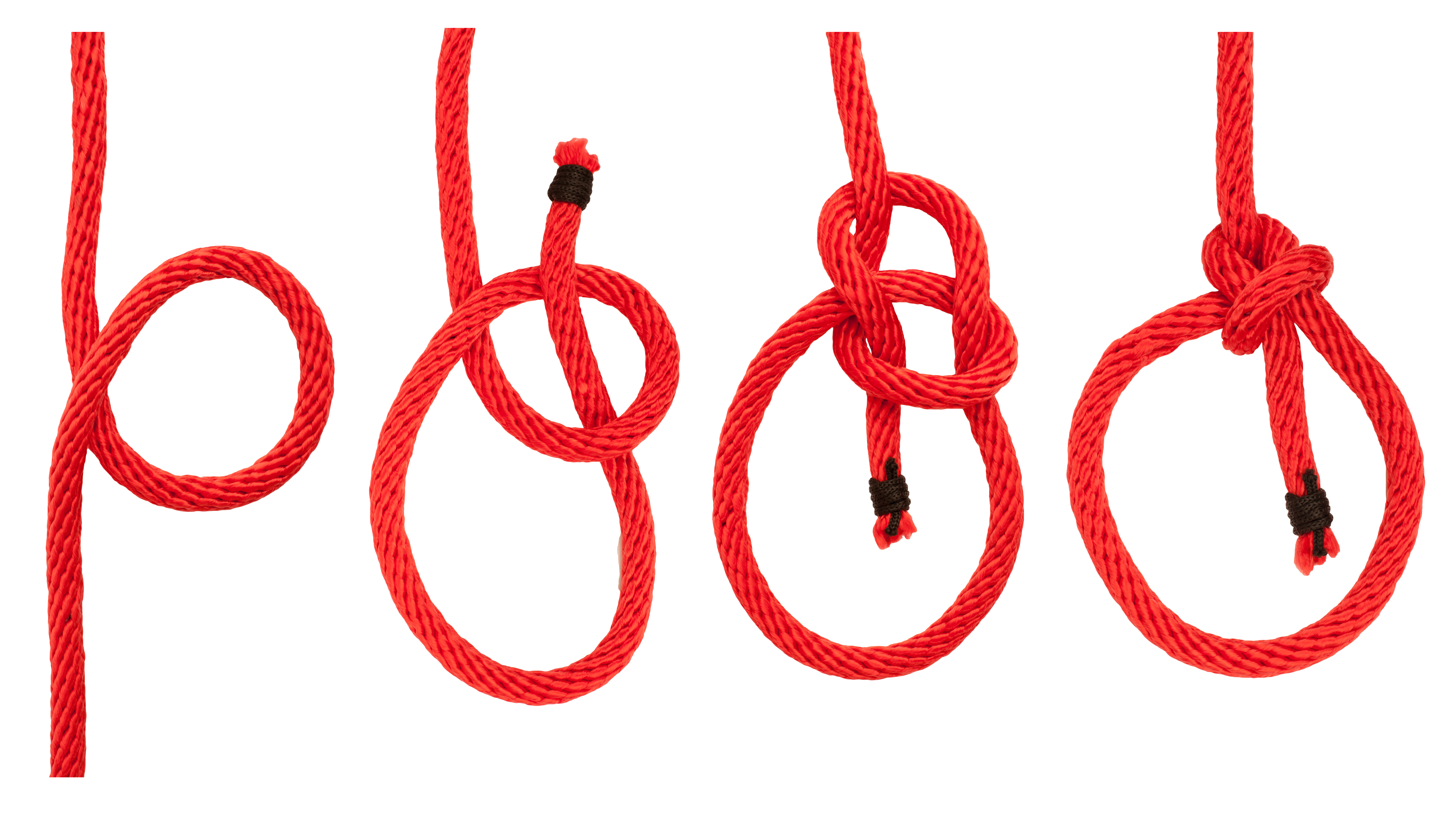 Five Essential Knots Every Diver Should Know • Scuba Diver Life