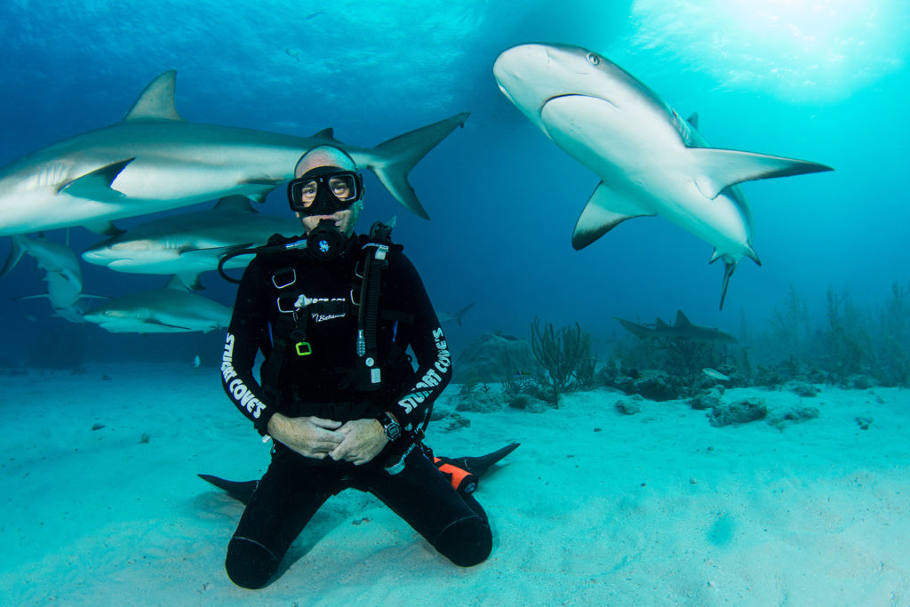 Shark Diving in the Bahamas • Scuba Diver Life