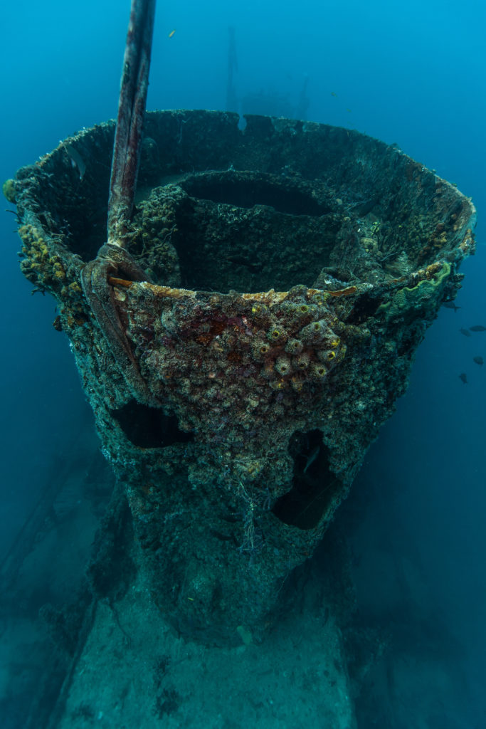 The Best Dive Sites in the Florida Keys • Scuba Diver Life