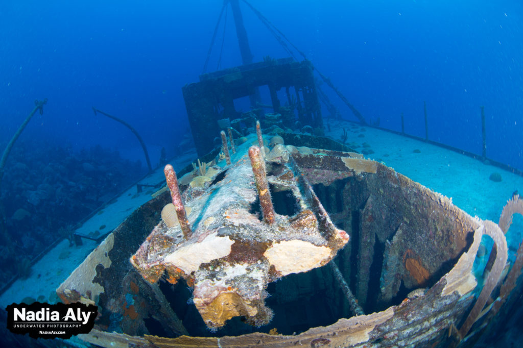 Best Diving in Bermuda • Scuba Diver Life