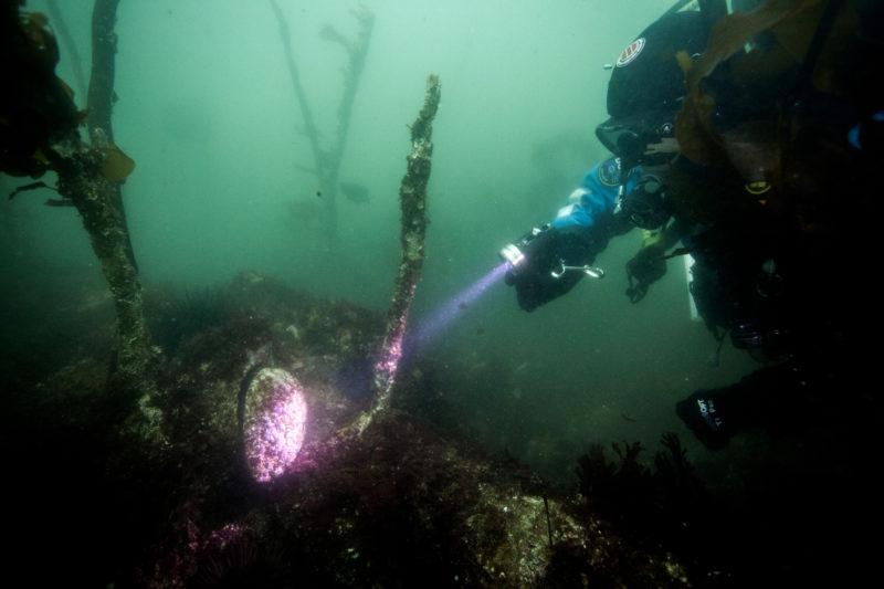 NOAA National Marine Sanctuary Shipwrecks: Pomona • Scuba Diver Life