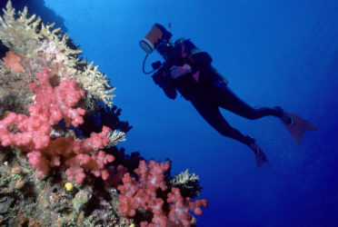 Best Scuba Diving in Fiji • Scuba Diver Life