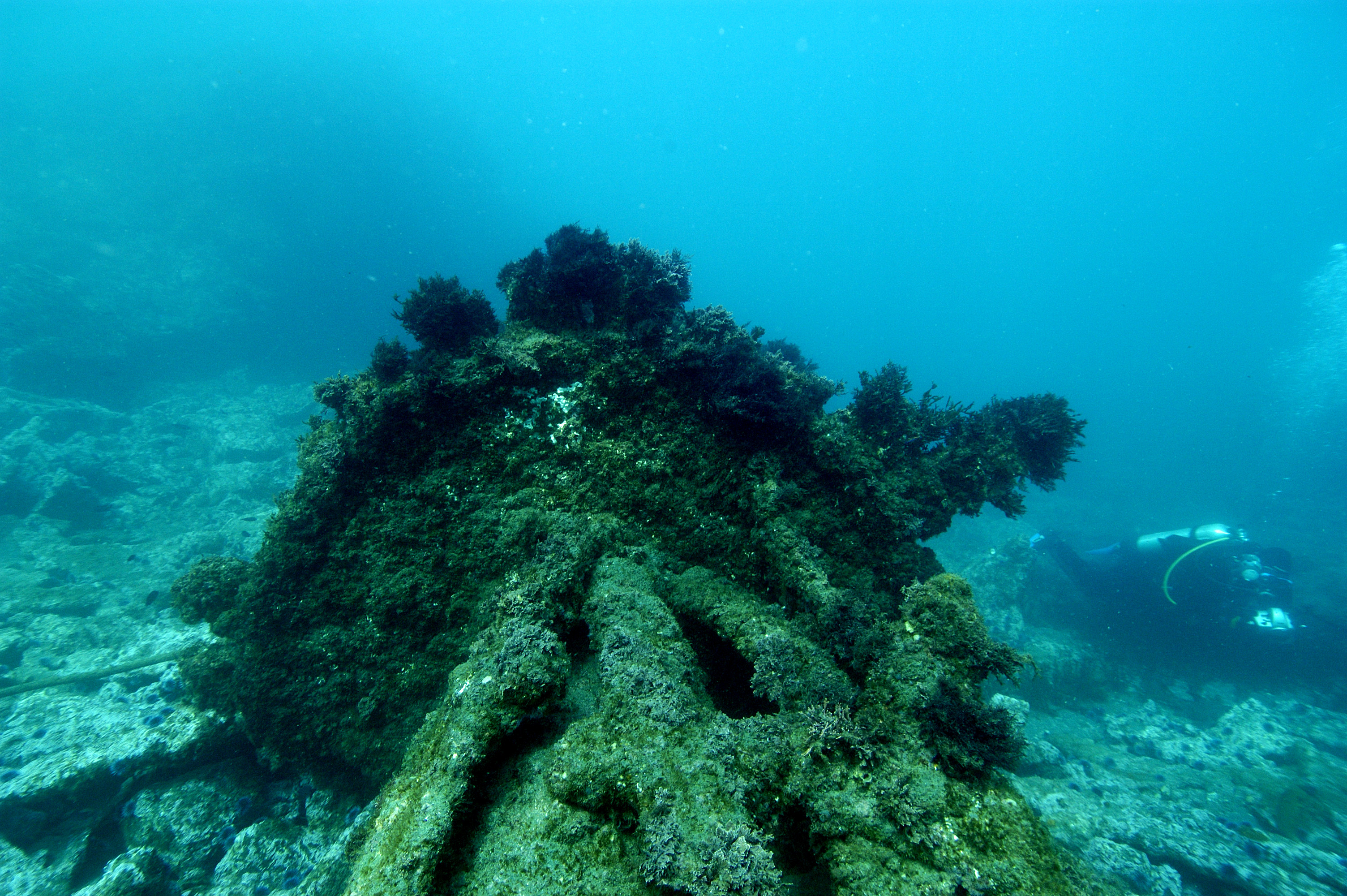NOAA Marine Sanctuary Shipwrecks: the SS Winfield Scott • Scuba Diver Life