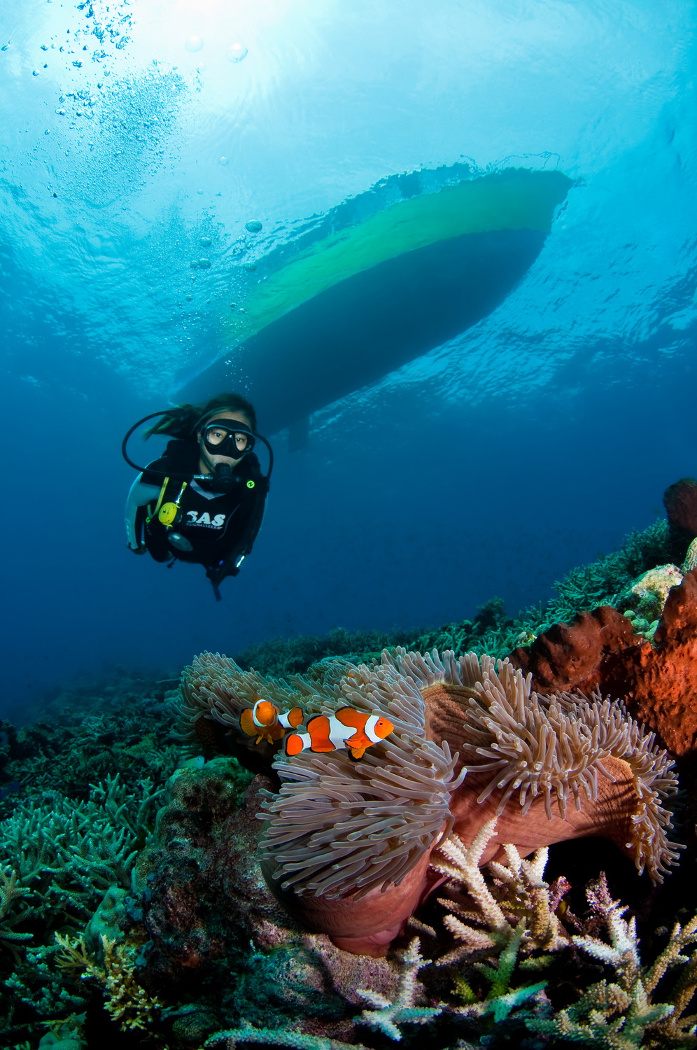 Scuba Diving in Tufi • Scuba Diver Life