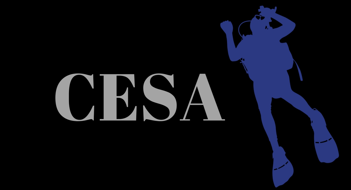 Training Tips: How to Safely Conduct a CESA • Scuba Diver Life