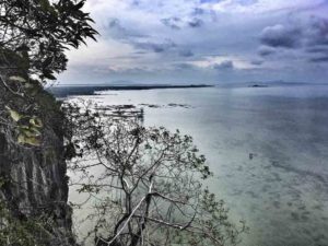Saving the Dugongs of Si Kao • Scuba Diver Life
