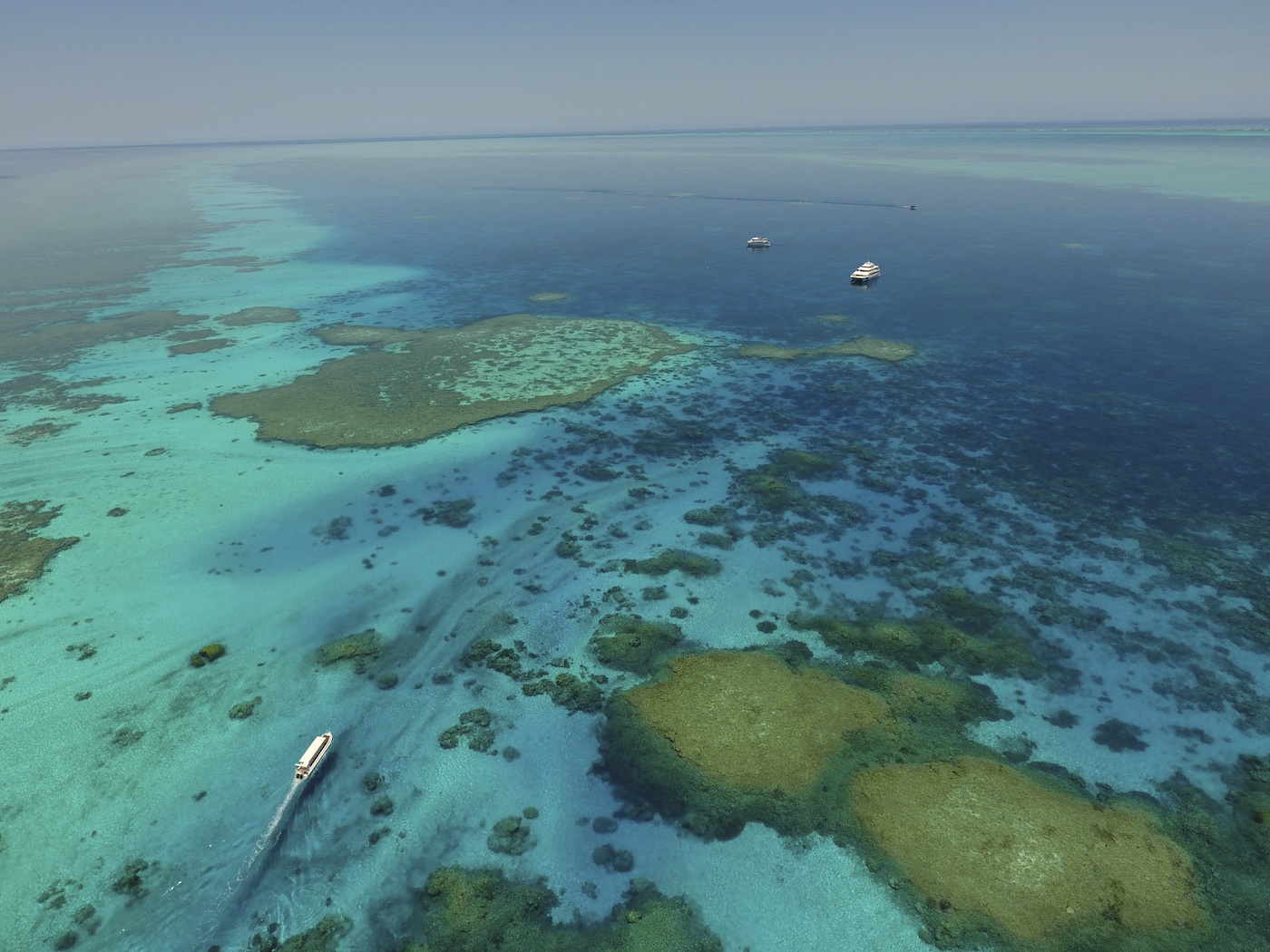Diving Australia’s Hidden Gem: Rowley Shoals • Scuba Diver Life