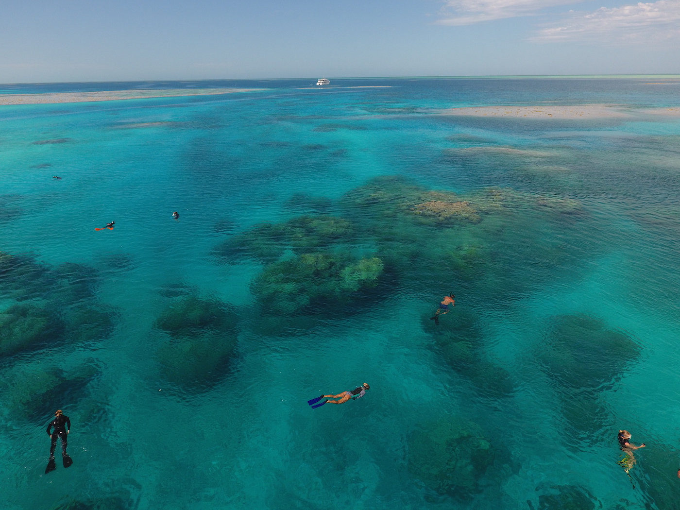 Diving Australia’s Hidden Gem: Rowley Shoals • Scuba Diver Life