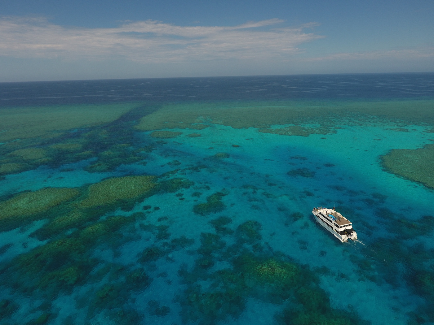 Diving Australia’s Hidden Gem: Rowley Shoals • Scuba Diver Life