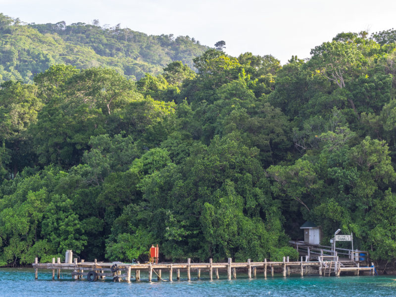 Scuba Diving in Papua New Guinea: Tawali Dive Resort • Scuba Diver Life