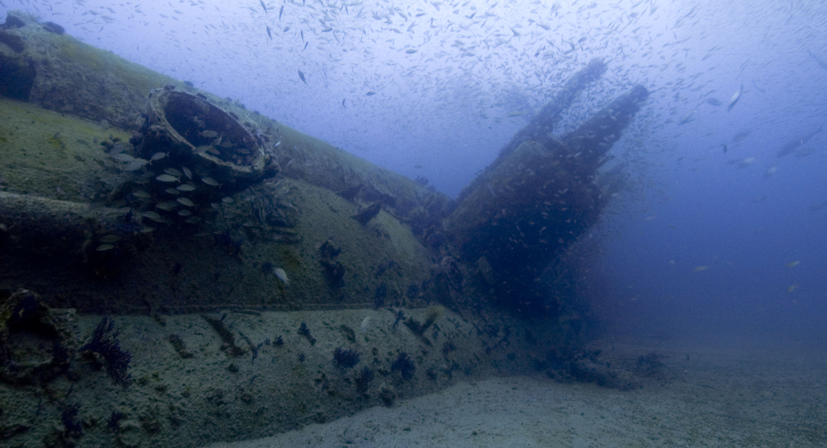 Preserving America’s Underwater Battlefield: U-352 • Scuba Diver Life