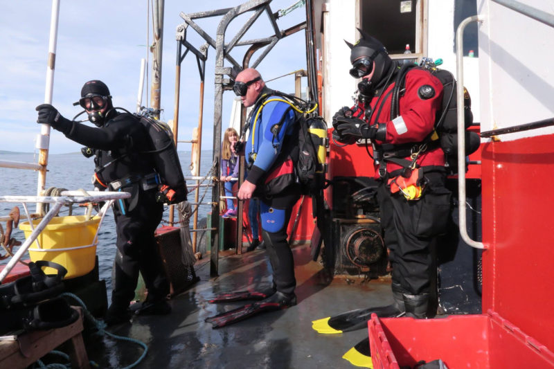 Training Fundamentals: Diver Lifts • Scuba Diver Life