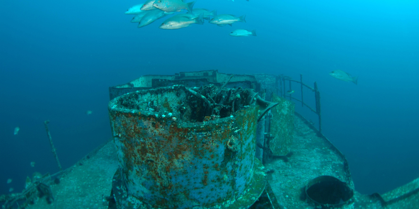 The Great Carrier Reef: The USS Oriskany • Scuba Diver Life