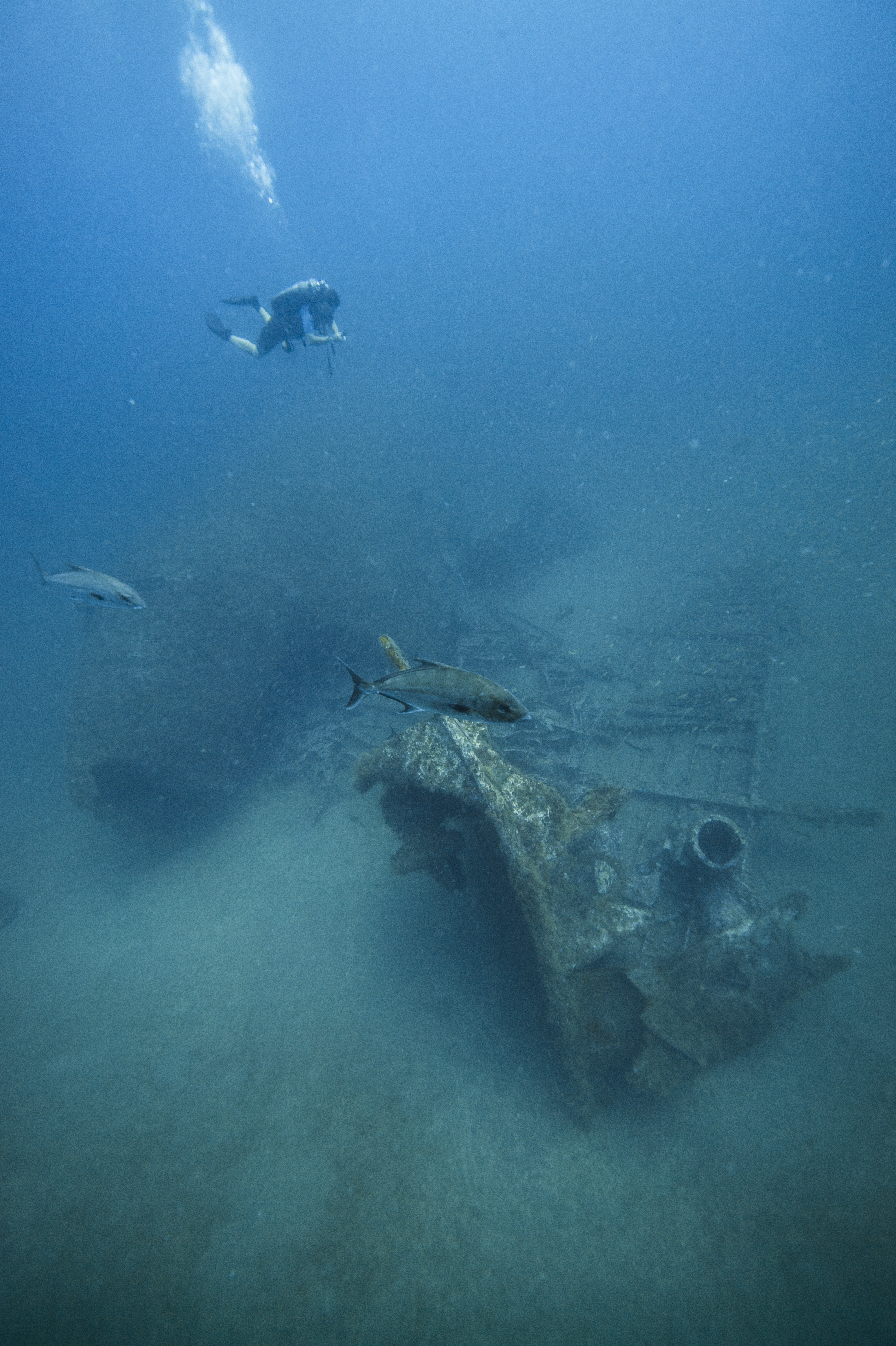Preserving America’s Underwater Battlefield: W.E. Hutton • Scuba Diver Life