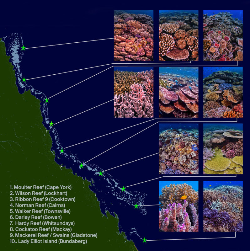 Mission Complete: The Great Barrier Reef Survey • Scuba Diver Life