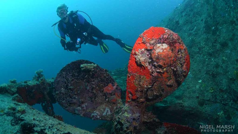 Tulagi: the Perfect Choice for Rust and Reefs • Scuba Diver Life