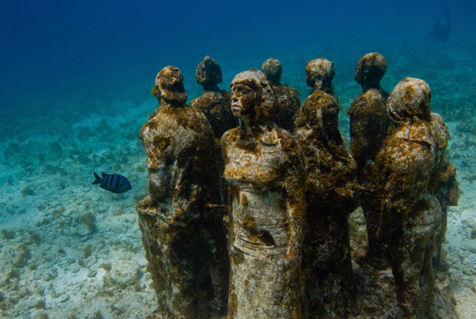 Dive the Cancun Underwater Museum • Scuba Diver Life