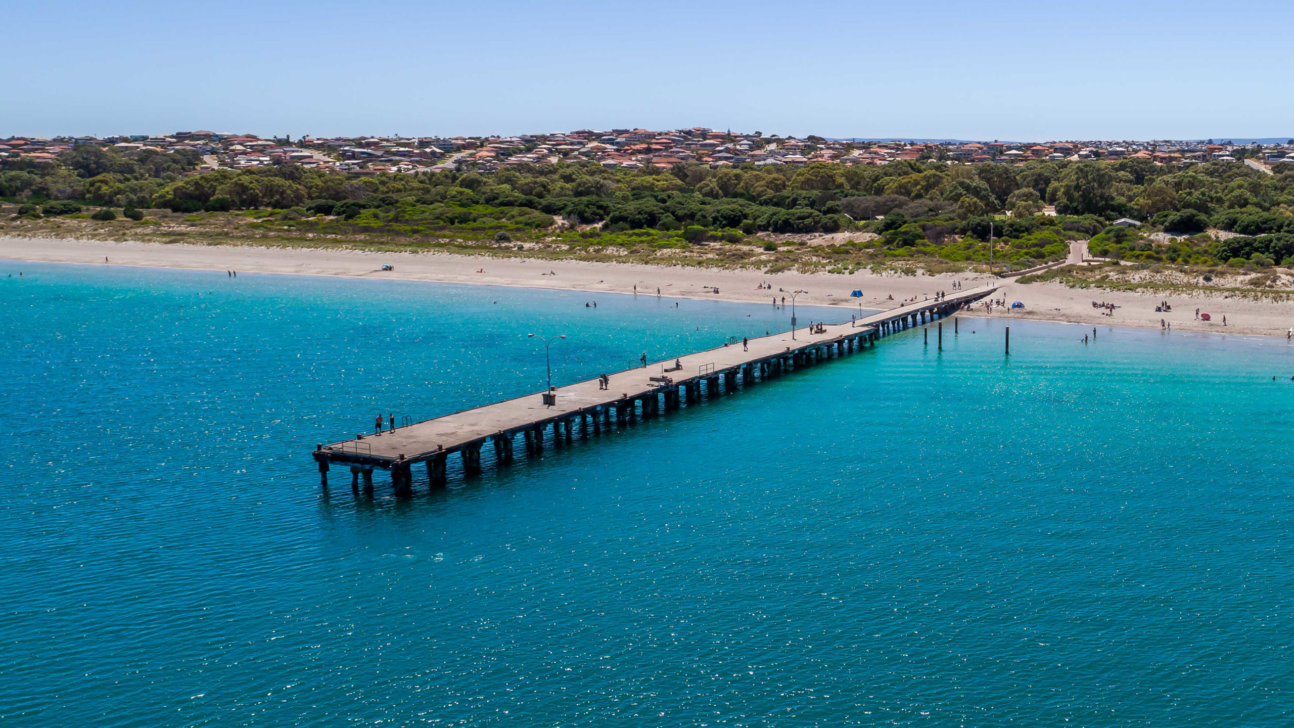 The Top Five Shore Dives in Perth • Scuba Diver Life