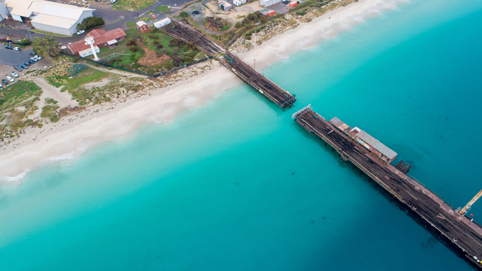 The Top Five Shore Dives in Perth • Scuba Diver Life