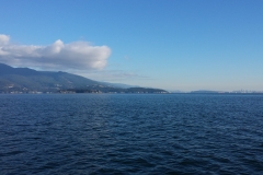 Best Vancouver Dive Sites • Scuba Diver Life